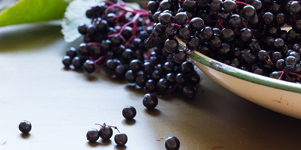 Oh so very elderberry: the berry with a long tradition of wellness ...