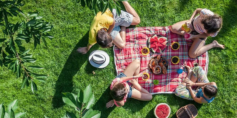 The link between nature and health – Nature's Way Canada